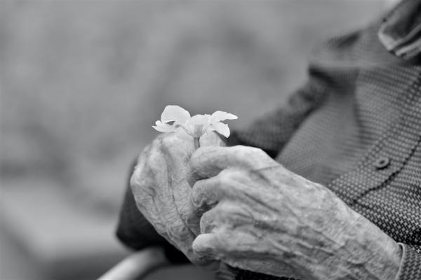 Infinite dignity - Communion and Liberation - Official site