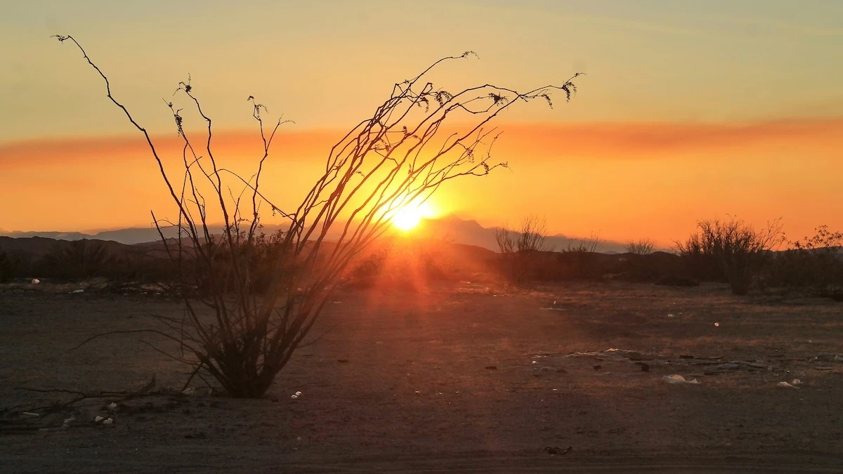 The power of grace - Communion and Liberation - Official site